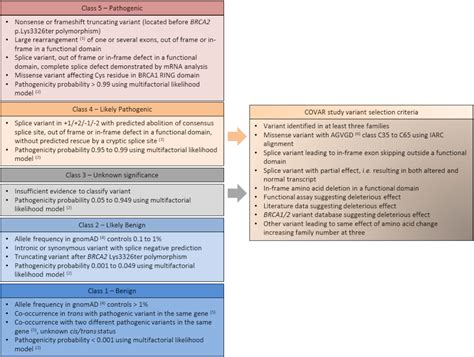 Figure 1 From Classification Of 101 Brca1 And Brca2 Variants Of Uncertain Significance By
