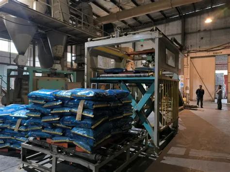 Carton Bag Packaging Line Automatic Low Level Palletizing Gantry