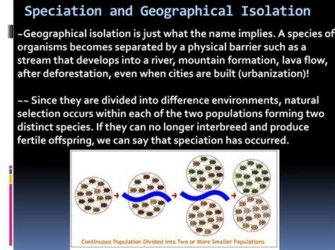 Ppt Geographic Isolation And Speciation Powerpoint Presentation Free Download Id3869489 Ppt Geographic Isolation And Speciation Powerpoint Presentation Free Download Id3869489
