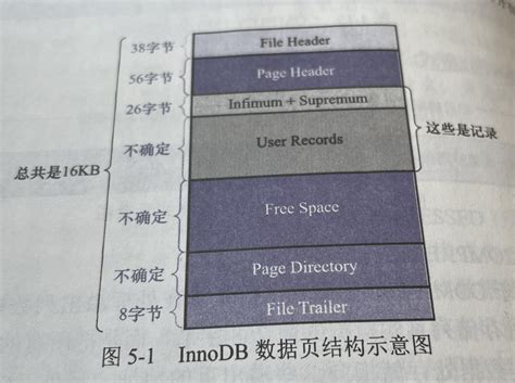 How Mysql Works Chapter 5