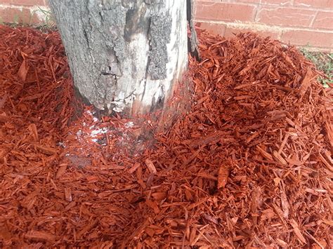 All You Need To Know About Mulch Oklahoma State University