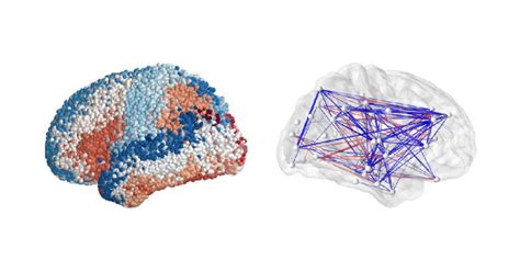 Neuroscientists Construct First Whole Brain Map Showing Electrical