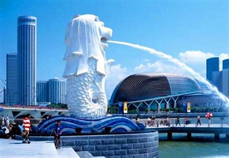 移民新加坡需要什么条件 新加坡移民申请条件 厦门市培训机构服务中心