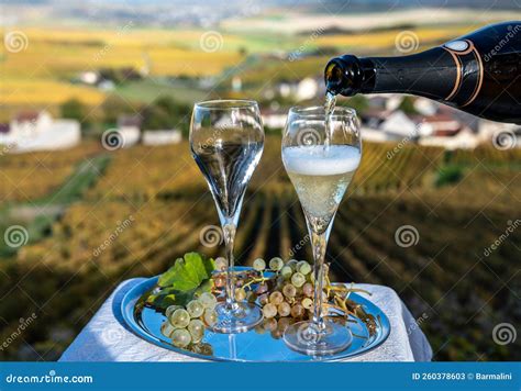 Tasting Of French Sparkling White Wine With Bubbles Champagne On