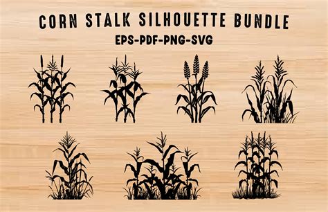 Corn Stalk Svg Silhouette Clipart Bundle Gráfico Por Gfxexpertteam