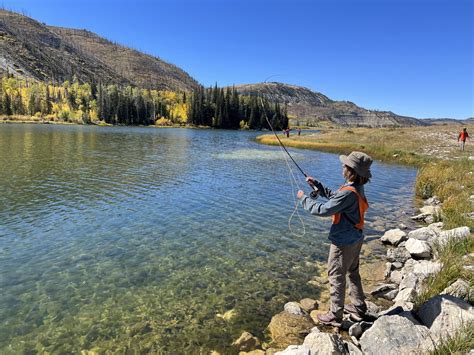 Adventure Programming Elements