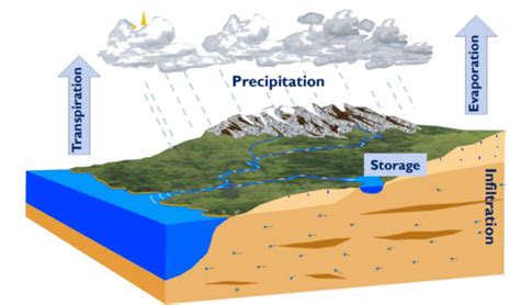 Water Lab Lecture 2 Watershed Delineation Flashcards Quizlet