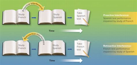 Module 22 Forgetting When Memory Fails Flashcards Quizlet