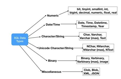 Dataanalyst Sqldeveloper Sqlskills Prakash Narayan
