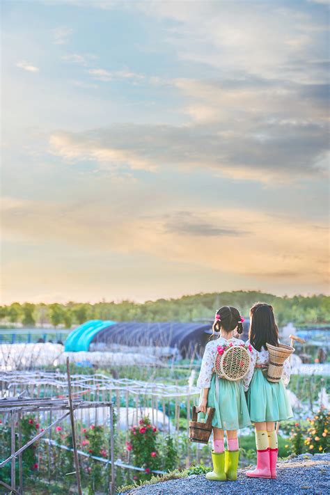 花田姑娘腰果虾仁 站酷zcool