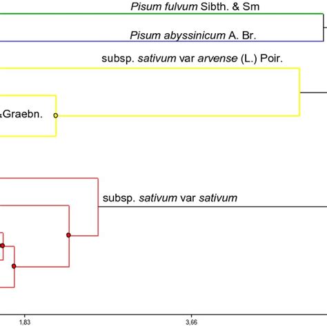 Dendrogram Compiled By Average Linkage Method Showing The Grouping Of