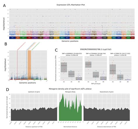 Eqtl Analysis Results A Manhattan Plot Reporting Only The 5 Best Download Scientific Diagram