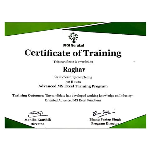 raghav garg on linkedin excel certification dataanalysis