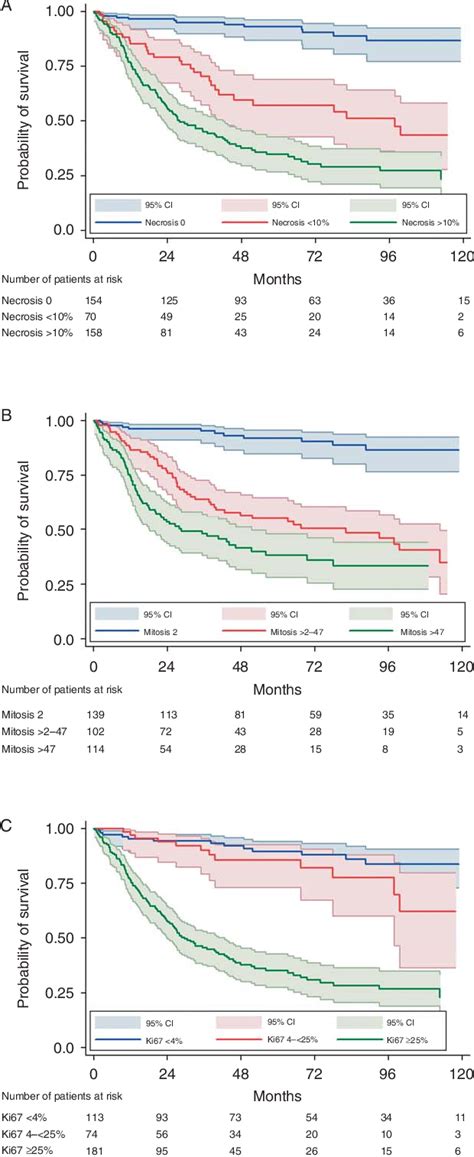 Tumor Grading System Semantic Scholar