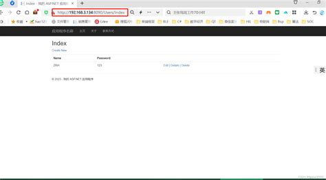 开源 C net mvc 开发三网站内外网访问 VS发布IIS配置网站花生壳外网穿刺访问 c mvc 域名下不可訪問內網 內網下可以訪問域名 CSDN博客