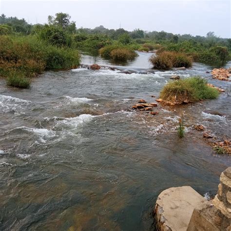 Pradeep Kumar Medium