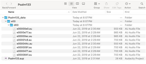 Trouble Opening Saved Project Macos Audacity Forum
