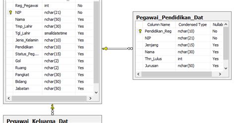 Belajar Visual Basic Merancang Database Untuk Form Pegawai Menggunakan