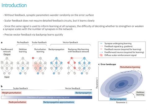 Backpropagation And The Brain Review Ppt