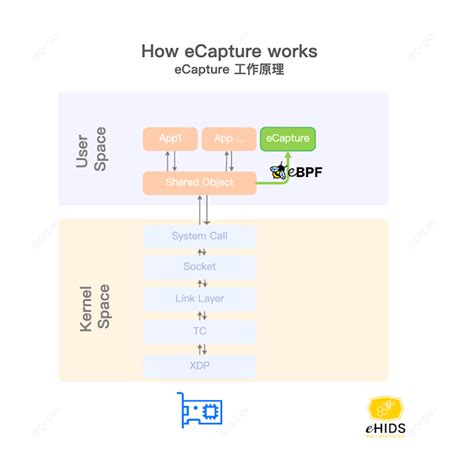 Ecapture Capture SSL TLS Text Content Without CA Cert By EBPF