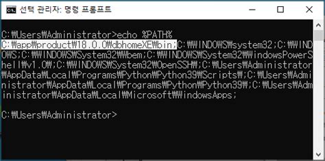 Windows 10 Pro에서 Oracle Database 18c Express Edition 무상 설치 가이드 눈깨비it개발자메모