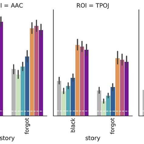 Time Segment Classification At Varying Dimensionality For Each Roi