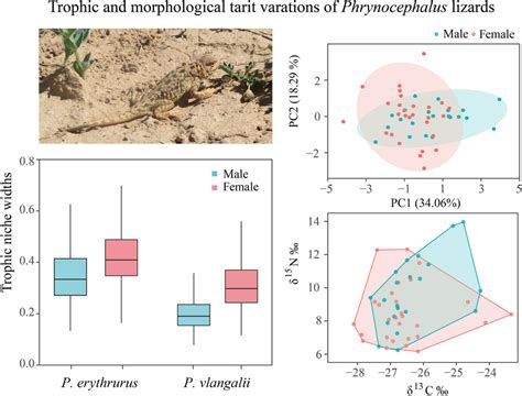 Integrative Zoology Vol 19 No 3