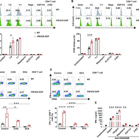 Inhibiting Glycolysis With 2 Dg Reversed Abnormal T Cell Homeostasis