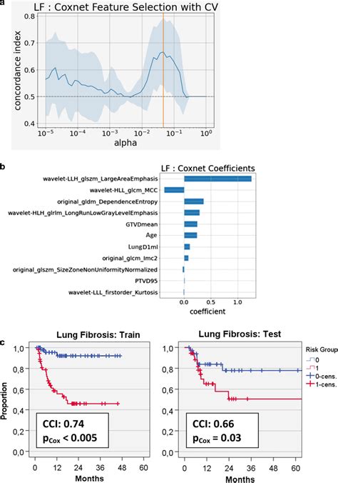 A Regularization And Feature Selection By Repeated Cross Validation Download Scientific Diagram