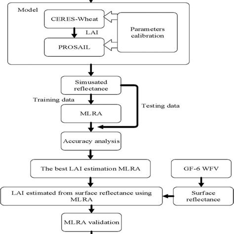 flowchart of leaf area index inversion by hybrid machine learning model