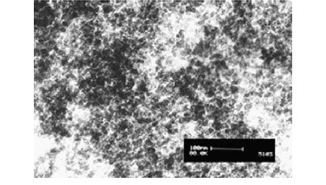 sem micrograph of sio 2 nanoparticles download scientific diagram