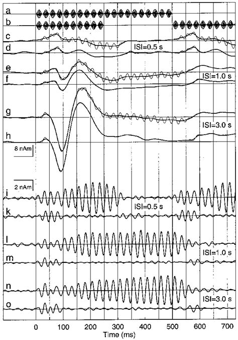 Example Of A Single Subject S Transient Response Waveforms And SSR To