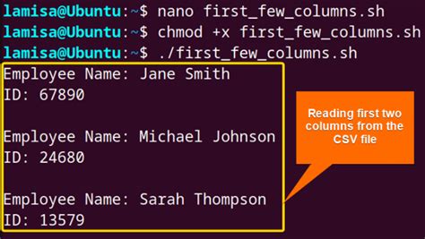 How To Read Csv Files In Bash 2 Methods Linuxsimply