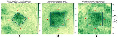 Remote Sensing Free Full Text Aboveground Biomass Estimation And Time Series Analyses In