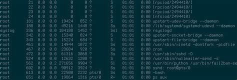 five steps every new debian or ubuntu server needs