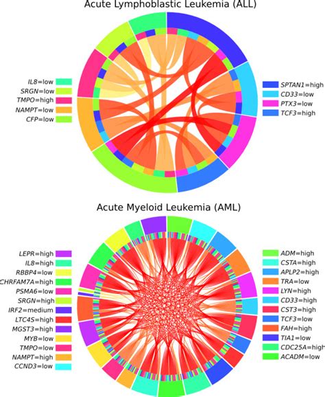 Rule Networks For Leukemia Rule Networks Showing Which Rule Conditions Download Scientific