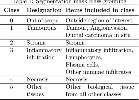 Enhancing Transformer Based Segmentation For Breast Cancer Diagnosis Using Auto Augmentation And