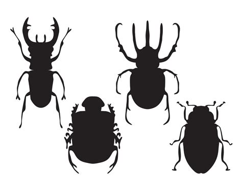 Bug Svg Bugs Svg Beetles Svg Bug Dxf Beetle Dxf Bug Template Beetle Template Bug Cutout