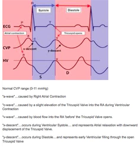 What Do The Waveforms Of A Cvp Trace Represent Icu Nursing Nursing School Tricuspid Valve