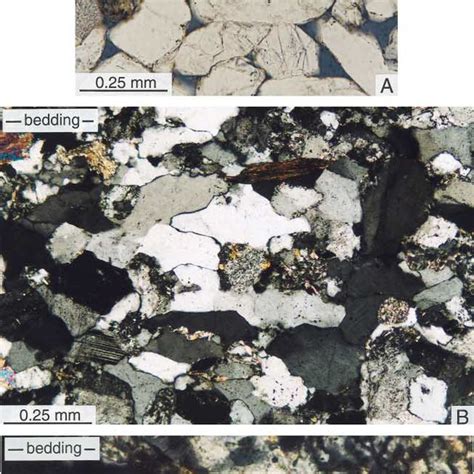 Pdf Diagenesis Dependence Of Cataclastic Thrust Fault Zone Sealing In Sandstones Example From