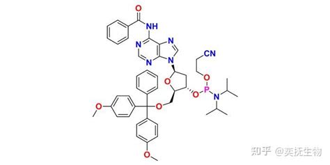 【信励致和】dmt Dabz亚磷酸酰胺单体 98796 53 3 化学试剂 知乎