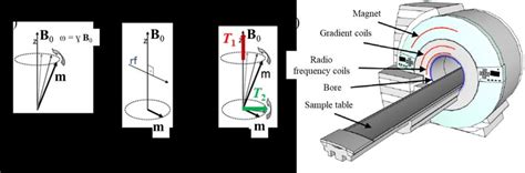 5 A Basics Of The Magnetic Resonance Phenomenon After The Download Scientific Diagram