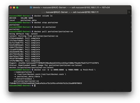 Docker Container Mit Portainer Updaten Und Portainer Selbst Updaten
