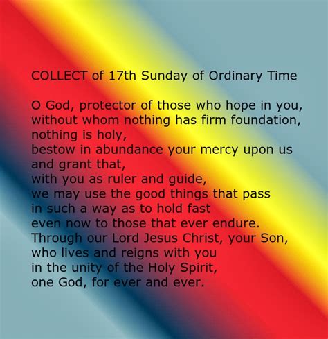 Daily Homilies Seventeenth Sunday In Ordinary Time