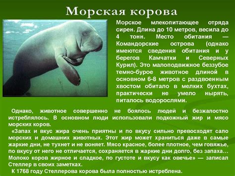 Животные Красной книги Online Presentation