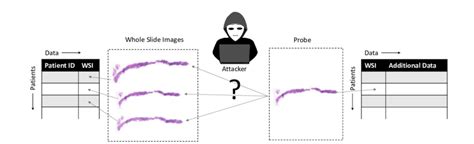 Assumed Model For Data Structure Tabular Data With Patients In Rows And
