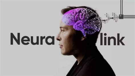 What Is Neurotechnology And Brain Computer Interface The Tech That Elon Musks Neuralink Uses