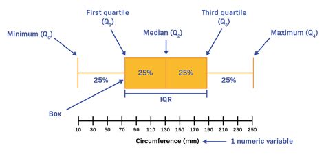 Understanding Box Plots A Guide With Python And R Codes