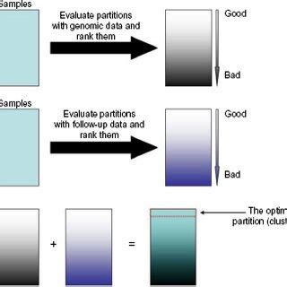 Schemata Of The Optimal Partition Selection Procedure Download Scientific Diagram