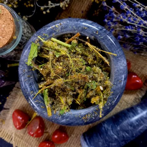 Золотарник (Золотая розга)